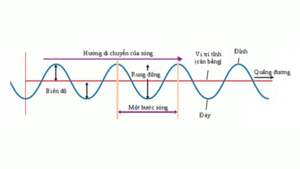Biên độ rung là gì? Tìm hiểu vai trò trong máy cấp liệu rung và cách ...